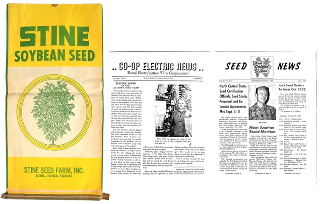 Istorija – Stine Seed